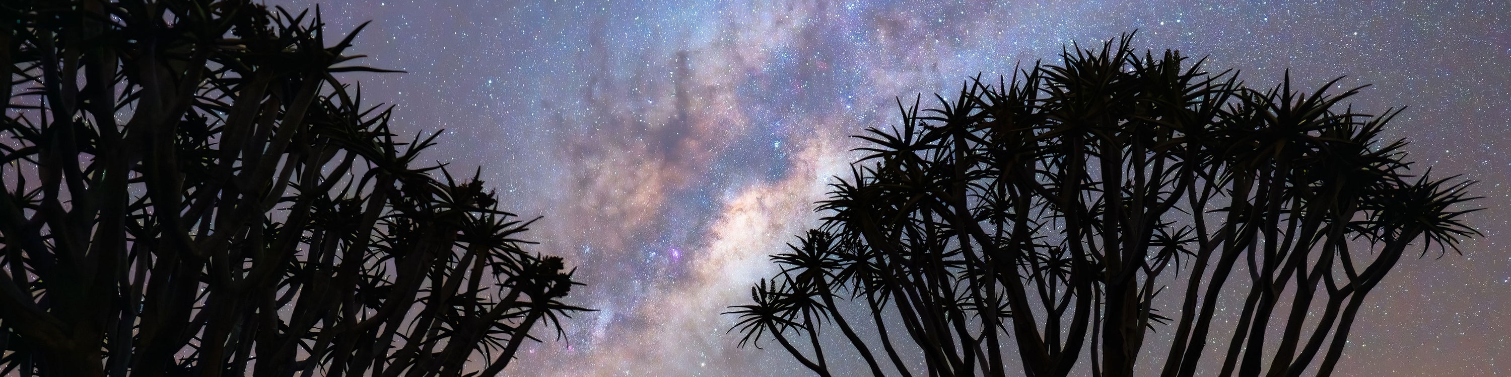 Gallery iconic cape town – Kyle Goetsch