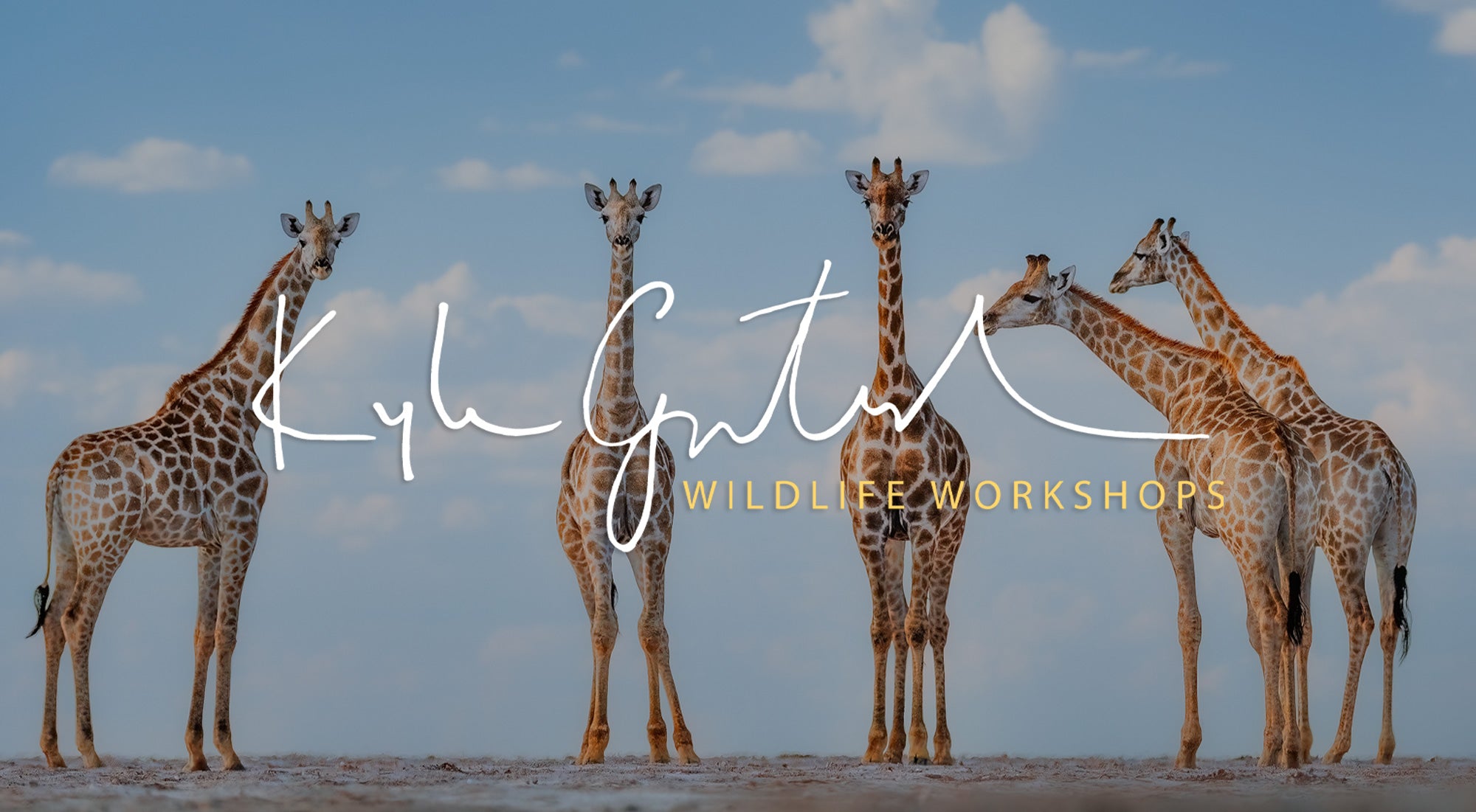 Wildlife Workshops – Kyle Goetsch